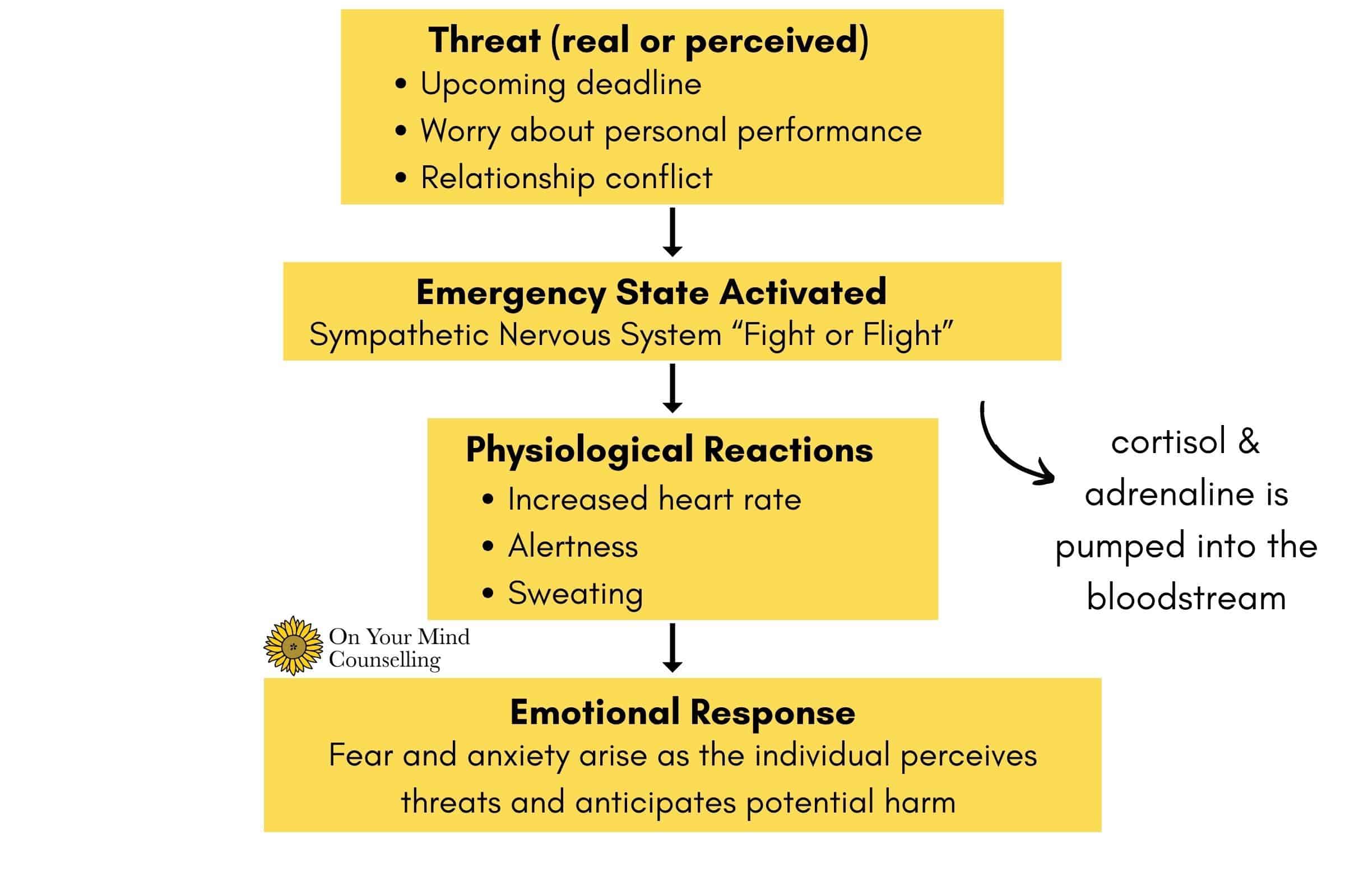 Navigating Stress: Differentiating Between Healthy vs. Unhealthy Stress ...